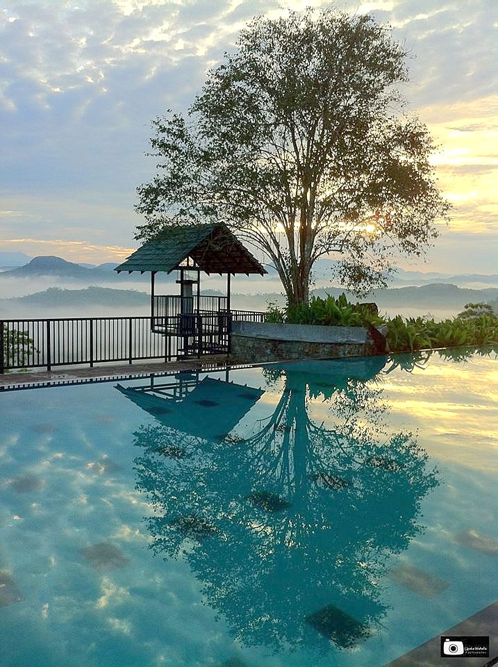 Nature Lover's Resort